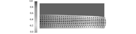 Solution Of The Simple Rectangular Domain Problem Using The Fully