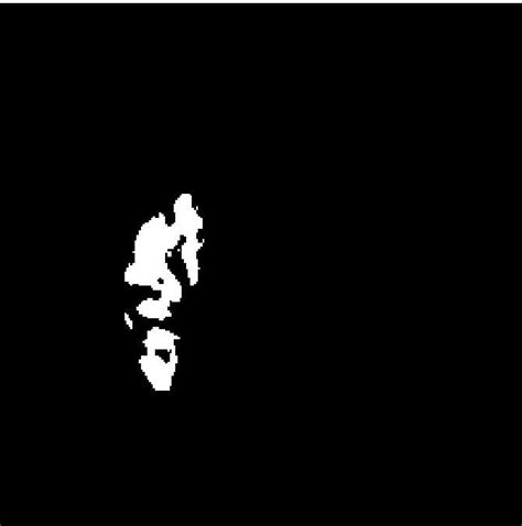 how can i calculate accuracy of segmented image researchgate