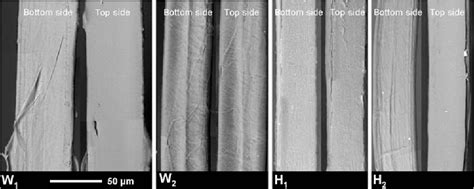 Figure 1 From Orientation Of The Wood Polymers In The Cell Wall Of Spruce Wood Fibres Semantic