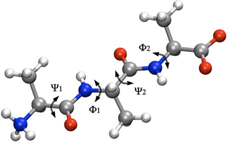 Figure 2 From A Vmd Interface For Analyzing Metadynamics And Molecular Dynamics Simulations