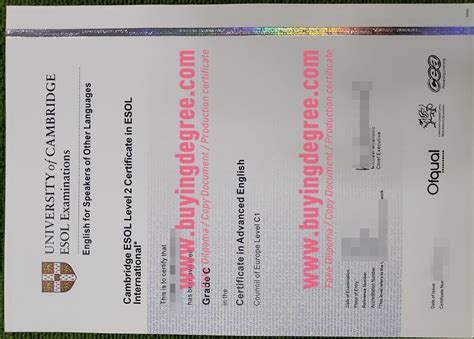 How Much Does It Cost To Customize A Cambridge Cae Certificate