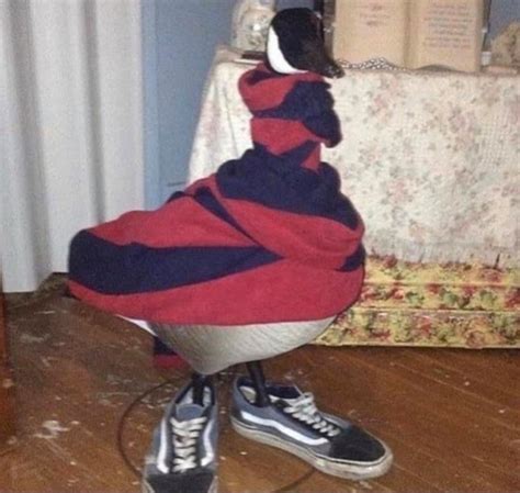 Cabbage Cat On Twitter Dudes Wait All Week To Go To The Basement Show Just To Stand In The