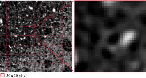 Ct图像亚分辨率孔隙率估计新方法及其在多孔介质均匀性评价中的应用 Scientific Reports X Mol