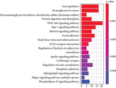 Gene Ontology Go And Kegg Pathway Enrichment Analyses For The Pdgfd