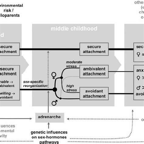 PDF Sex Attachment And The Development Of Reproductive Strategies