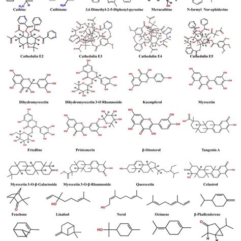 Re Docked Pose Of Cognate Ligands Into 17β Hsd5 A Represent Co Factor
