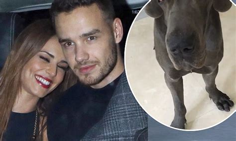 Шерилд нохой бэлэглэжээ