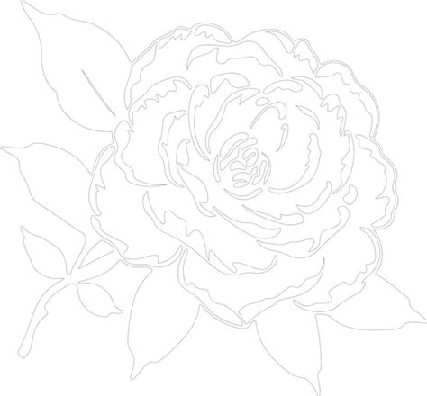 카멜리아 윤 실루 색 배경 프리미엄 벡터