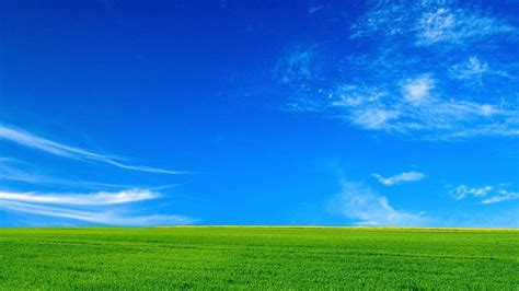Фон трава и небо фото и картинки 73 штук