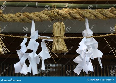 Shide On Shimenawa Around A Yorishiro Tree At Meiji Shinto Shrine