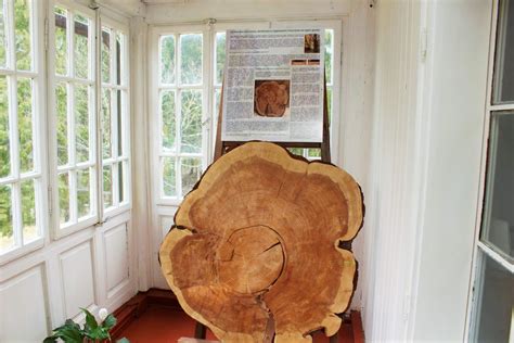 Национален музей на горското дело в Юндола