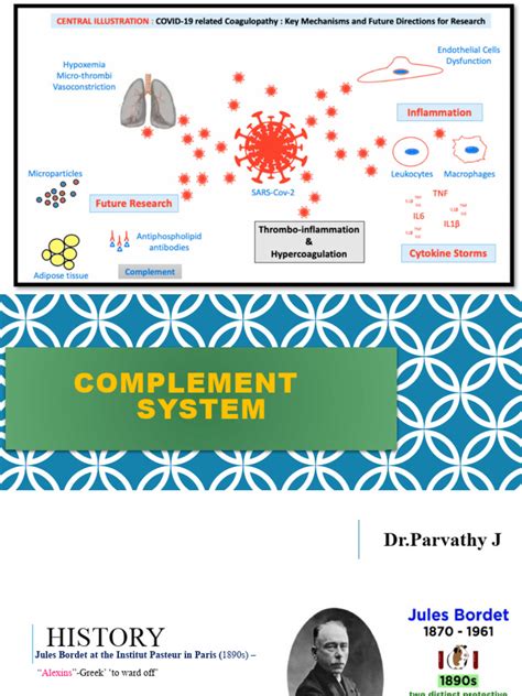 Complement System Pdf Complement System Immune System