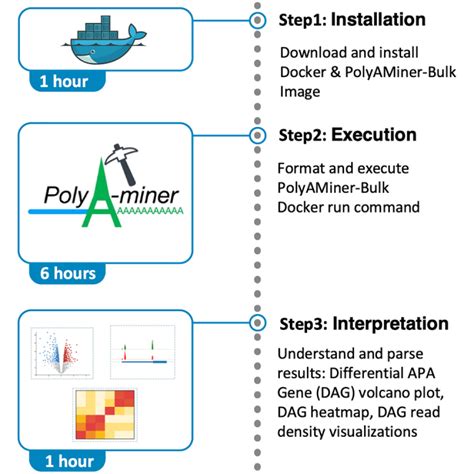 Protocol For Unlocking Alternative Polyadenylation Insights From Bulk