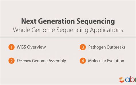 【ngs二代高通量测序】之 Wgs全基因组测序及应用 哔哩哔哩 Bilibili