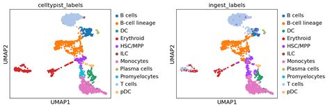 Cell Type Annotation And Visualization Single Cell Transcriptomics