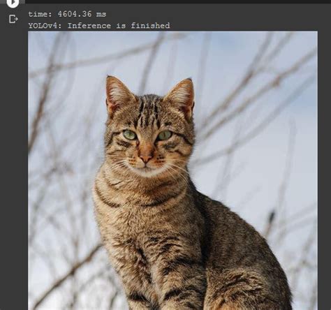 Training Error Model Doesn T Show Results After Training Issue Hhk Tensorflow Yolov