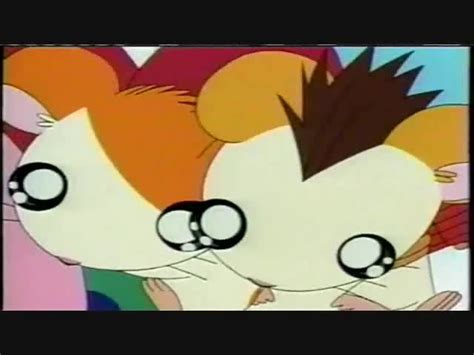Hamtaro Episode 24 English Dubbed Watch Cartoons Online Watch Anime