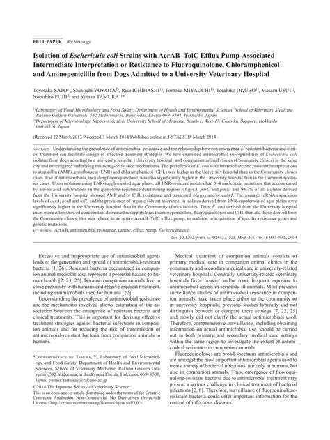 Pdf Isolation Of Escherichia Coli Strains With Acrabtolc Efflux Pump Associated Intermediate