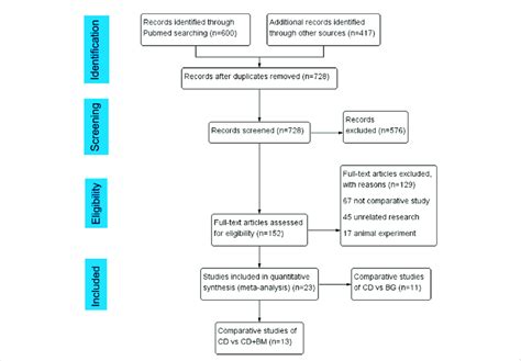 flow diagram showing the process of inclusion and exclusion download