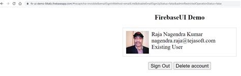 Demo Improvement By Adding Provider Details · Issue 949 · Firebasefirebaseui Web · Github