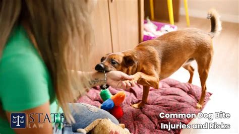 Dog Bite Injury Lawyers Monterey Ca