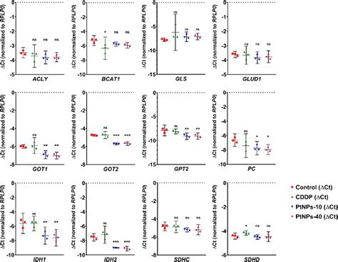 Relative Gene Expression For Selected Genes From Tca Cycle In