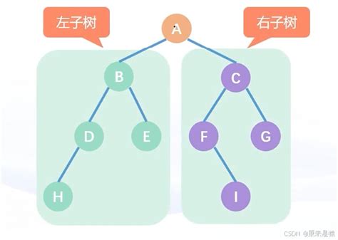 蓝桥备赛（16） 二叉树 Csdn博客