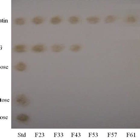 Chromatogram Of TLC Of Second Fractioned Samples From ODS Column Download Scientific Diagram