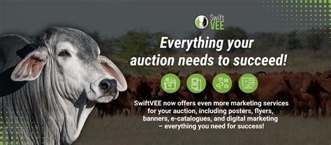 André Kock And Seun Limpopo André Kock And Seun Limpopo