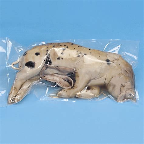 Formalin Pig 11 To 14 Single Injection 1 Per Bag Carolina