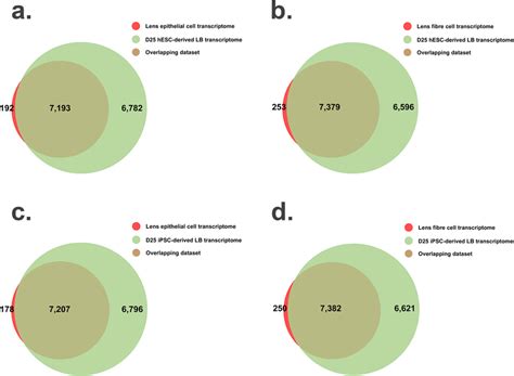 Comparative Transcriptome Analyses Of H9 Human Embryonic Stem Cell