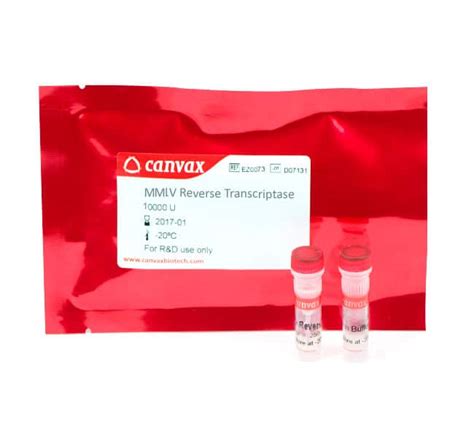 M Mlv Reverse Transcriptase Cdna Synthesis Enzyme Canvax