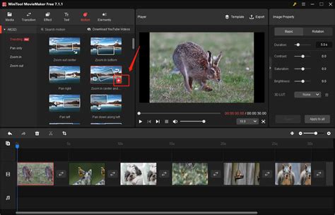 Cómo Hacer Que Una Imagen Se Mueva Con Animación O Efectos De Movimiento