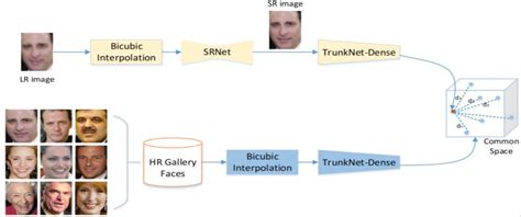 Figure 1 From Low Resolution Face Recognition Method Combining Super Resolution And Improved Dcr
