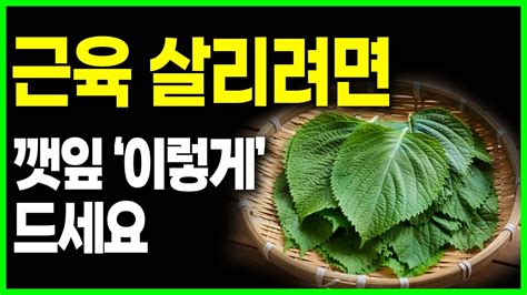 아프기 싪다면 깻잎 이렇게 먹었더니 온몸 근육 살아났다 깻잎과 함께 먹으면 보약인 음식 상극인 음식 깻잎의 효능과