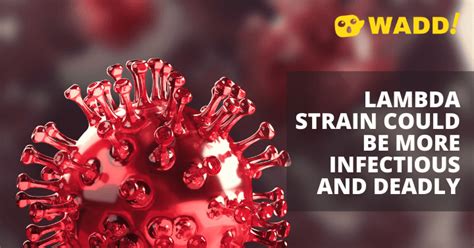Wadd Covid Lambda Strain Is Detected In Over Countries And Said To Be Deadlier Than Delta