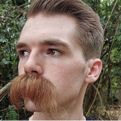 Pin By Bartolomeo On Walrus Staches Mustache Styles Walrus Mustache