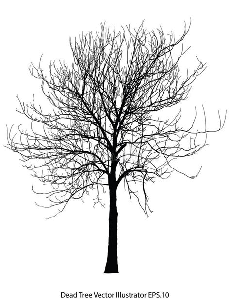 Dead Tree Without Leaves Vector Illustration Sketched Eps 10 Stock Vector Illustration Of