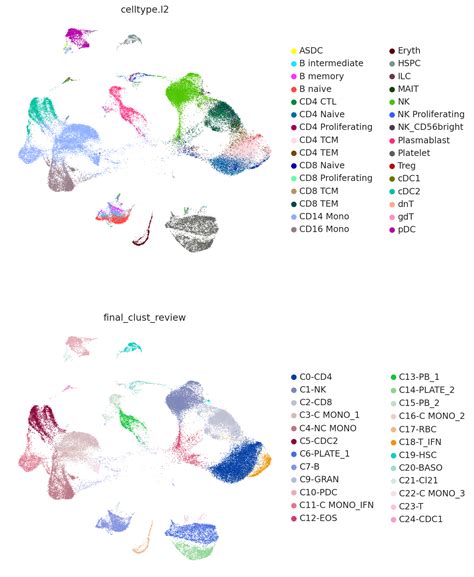 Cite Seq Reference Mapping With Totalvi — Scvi Tools
