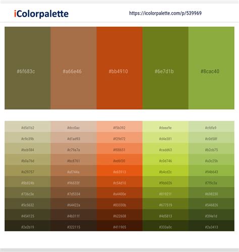 210 Latest Color Schemes With Rust Color Tone Combinations 2022