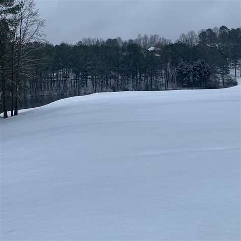 Cami Schattin Youtube