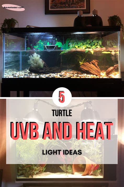 Best Heat Lamps And Uvb Lights For A Turtle Tank Turtle Tank Aquatic