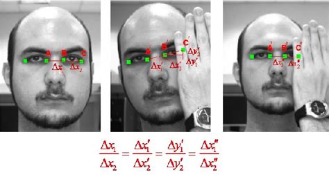 Figure 1 From A Robust Facial Feature Point Tracker Using Graphical Models Semantic Scholar