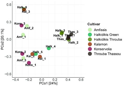 Principal Coordinates Analysis Pcοa For The 16s Rrna Amplicon Download Scientific Diagram