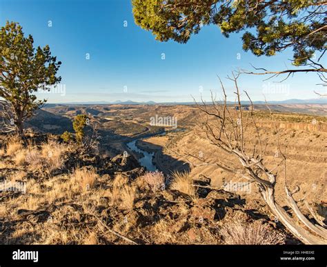 Central Oregon High Desert View Of The Deschutes River Canyon With The