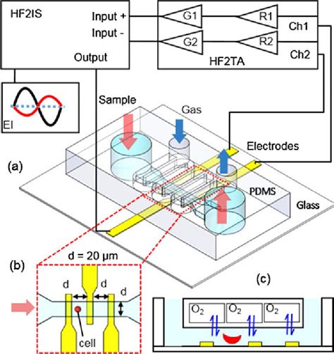 Figure 1 From Electrical Impedance Microflow Cytometry With Oxygen Control For Detection Of