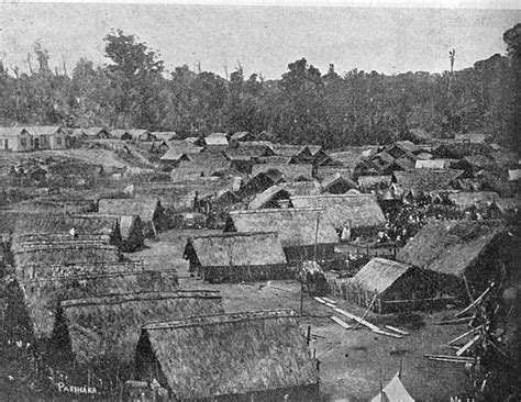 Remembering Parihaka Twinkl