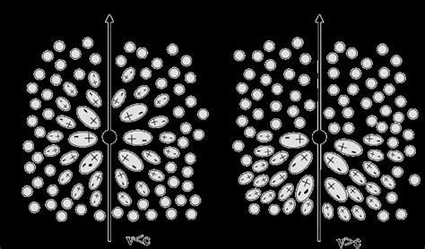 Illustration Of The Polarization Of The Medium Induced By The Crossing