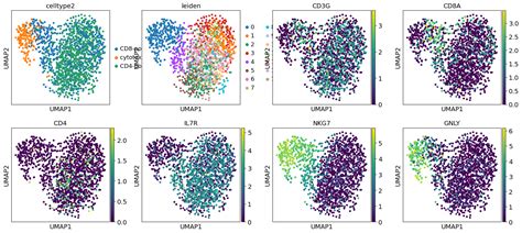 notebook 2 celltype annotation and beyond — besca 2 4 documentation