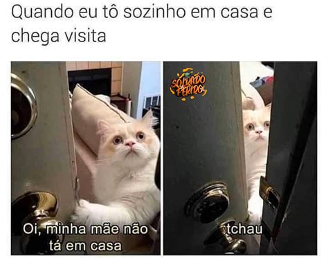 Quando Eu Tô Sozinho Em Casa E Chega Visita Oi Minha Mãe Não Tá Em